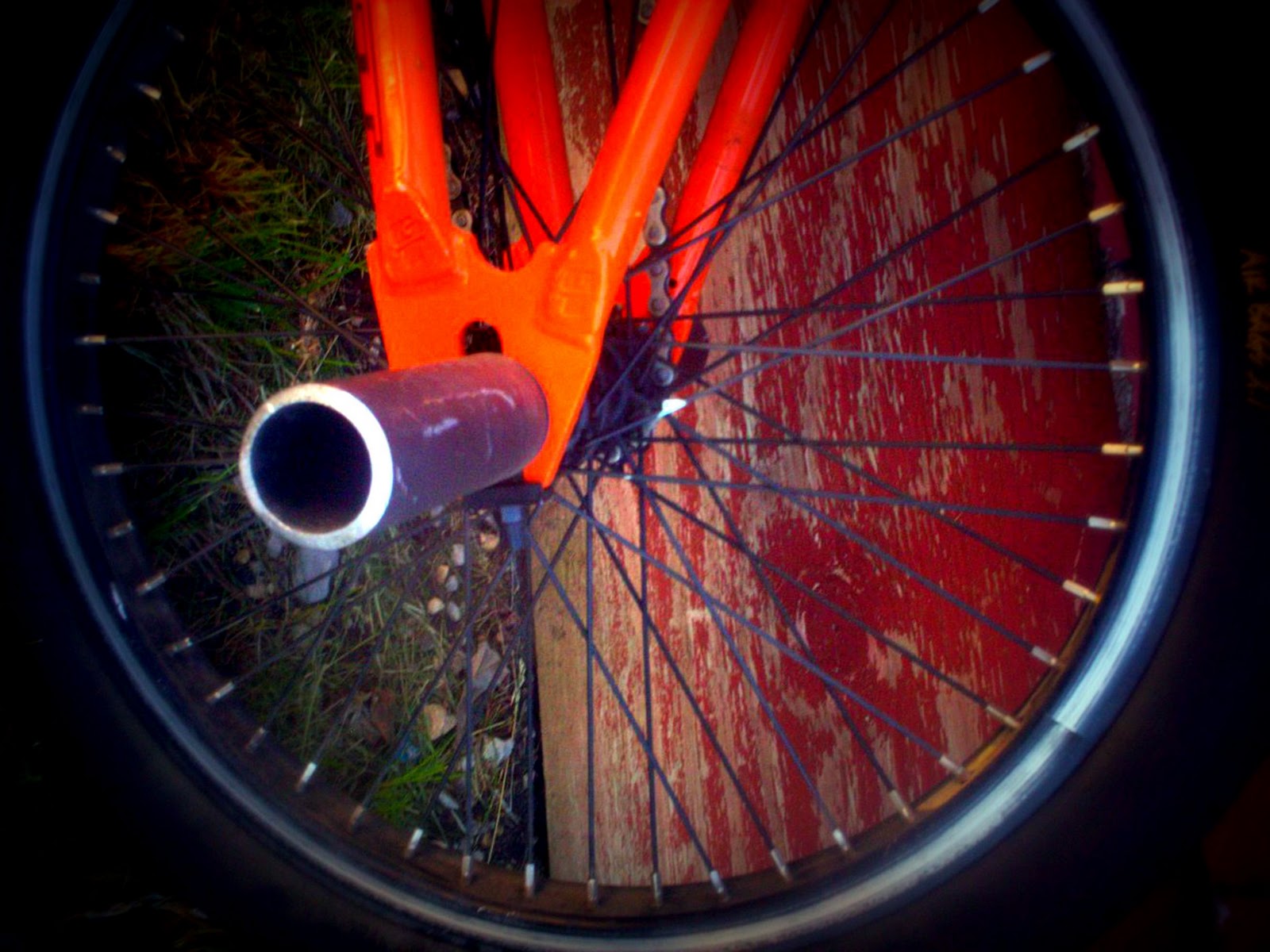 Digital Photography: Axial Symmetry