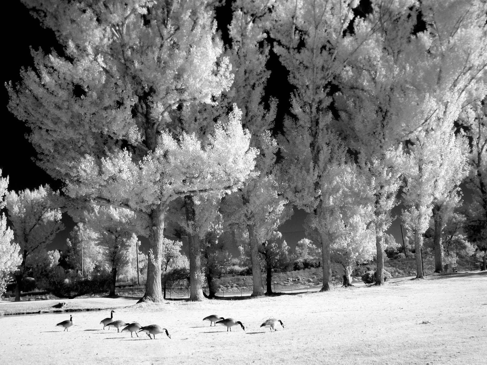 Our world between 650nm-850nm: First experience with IR photography
