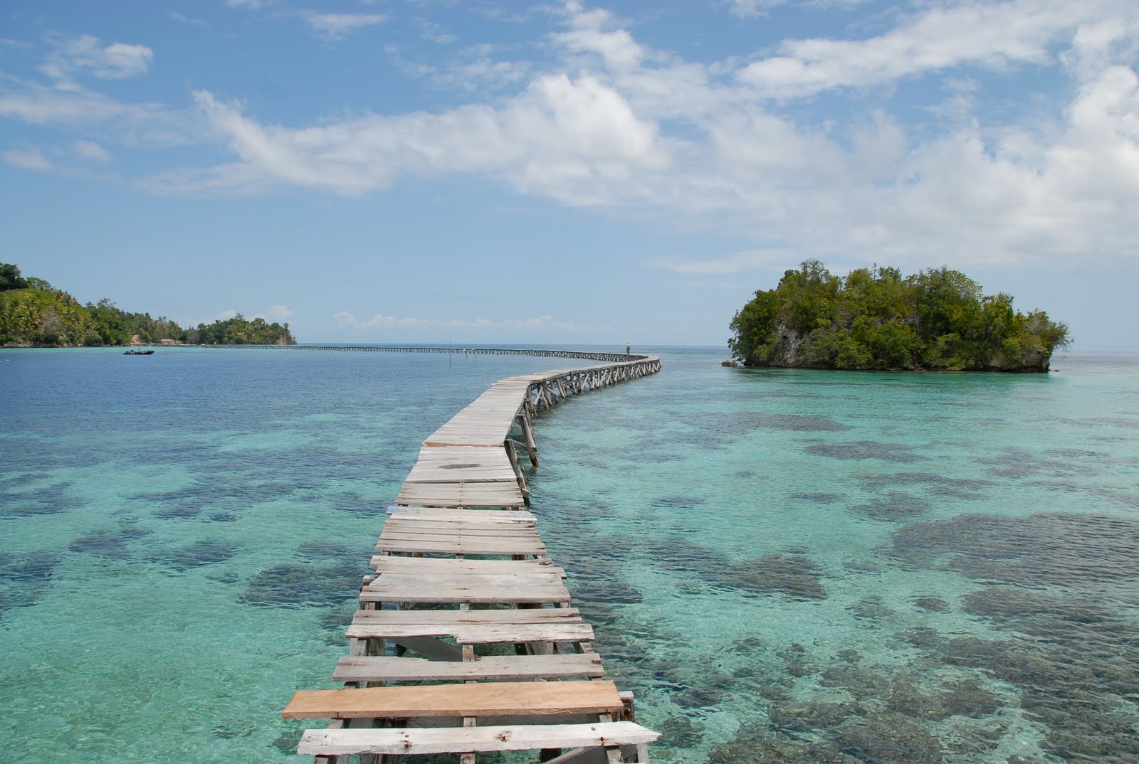 Un País de Agua: XXIX - BANGGAI ISLAND GROUP - KULUTAN - UNNAMED REEF ...