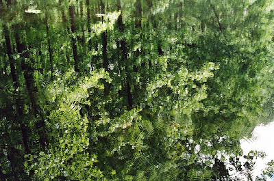 Sweetcake Enso: Sweetcake Enso Gallery