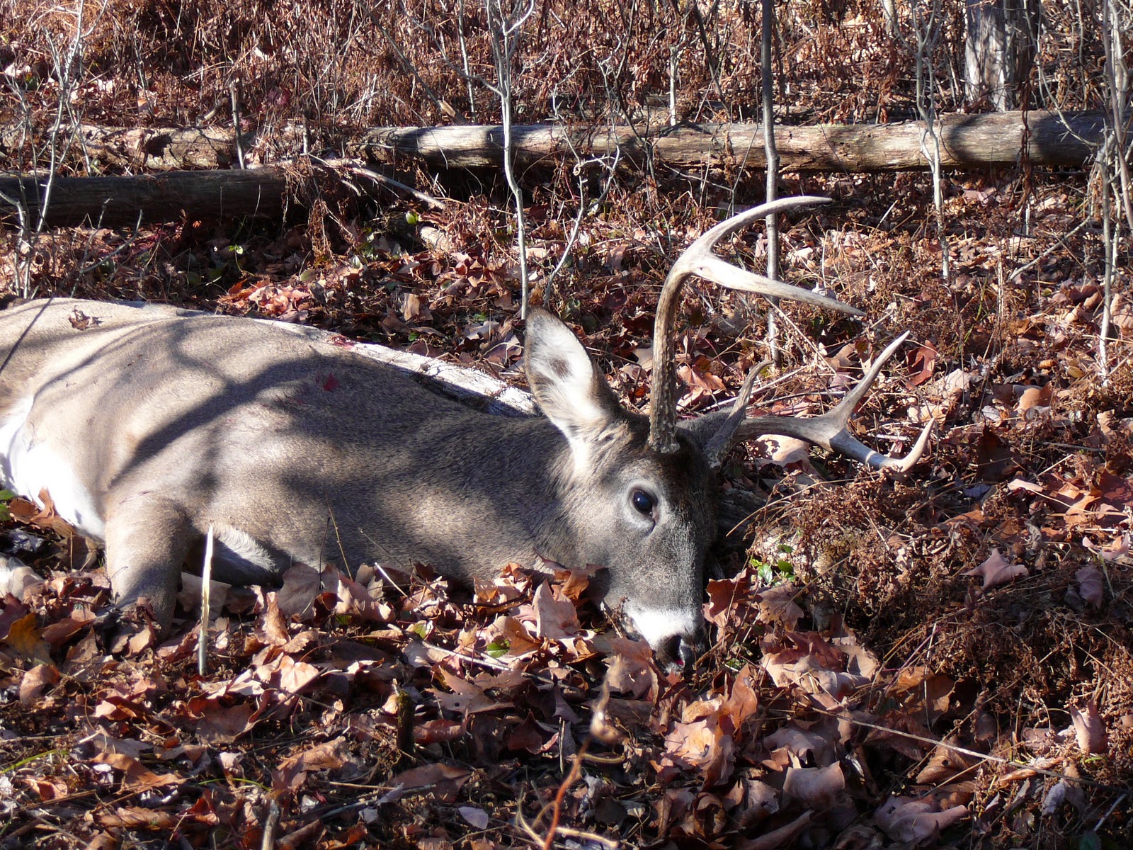 Penn State Food Safety Blog: Safety reminders, advice offered for field ...