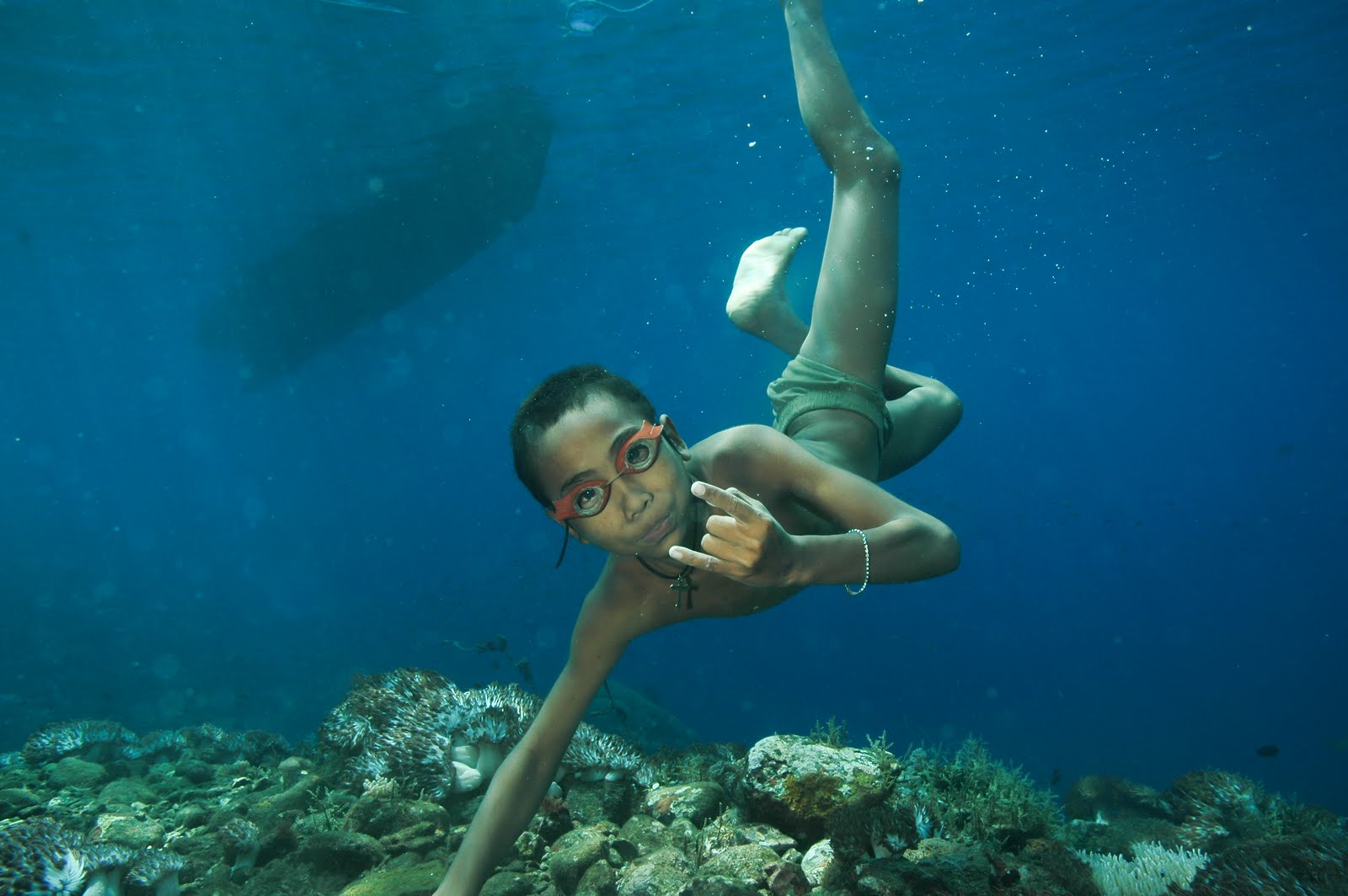 1000+ images about Freediving on Pinterest | Diving, Roatan and Underwater