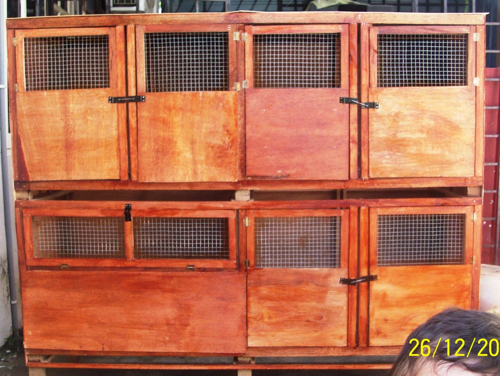 Laman Serama Parit Buntar ( Ayam Serama ): Reban Ayam Serama Alaf Baru