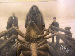 The Wonders of The World: 7 Animals That Exist in The Film Harry Potter