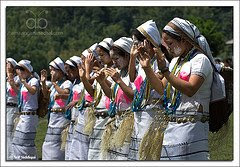 Tribes of India: Tribal Mopin Festival in Arunachal Pradesh