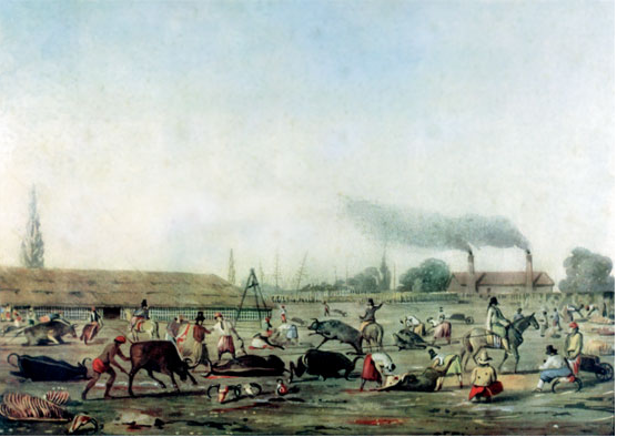 Un poco más de historia: Los saladeros