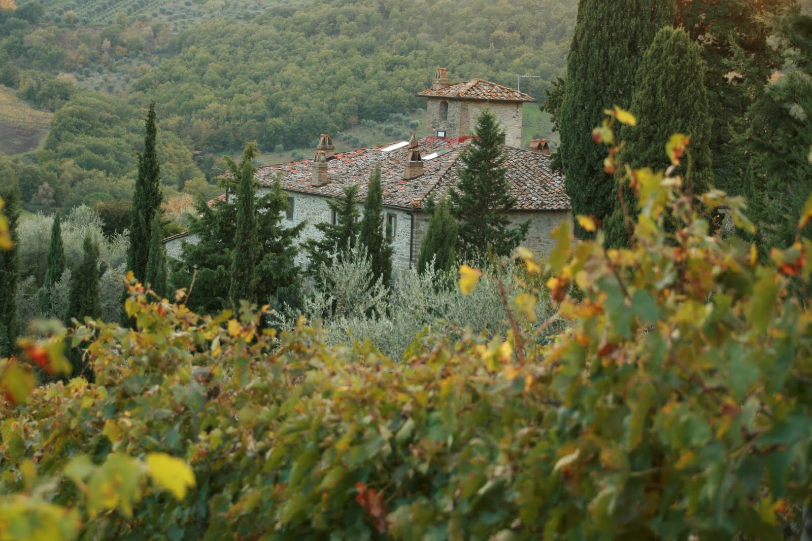 vignette design: Flashback Friday - A Fall Day in Tuscany