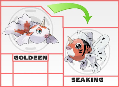 Rede Pokemon: evolution do goldeen