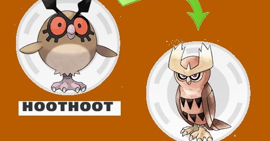 Rede Pokemon: evolution do hoothoot