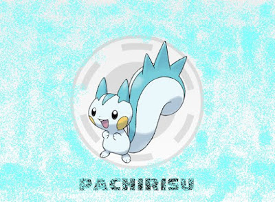 Rede Pokemon: evolution pachirisu