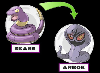 Rede Pokemon: evolution ekans