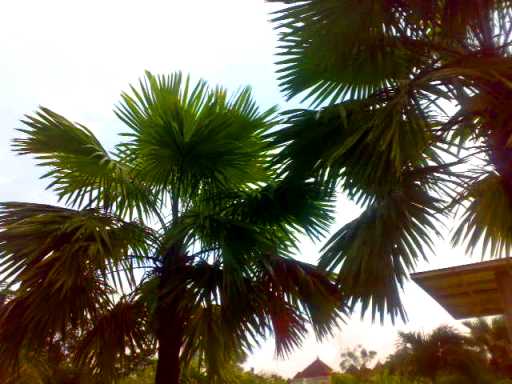 situs peduli pemanasan global