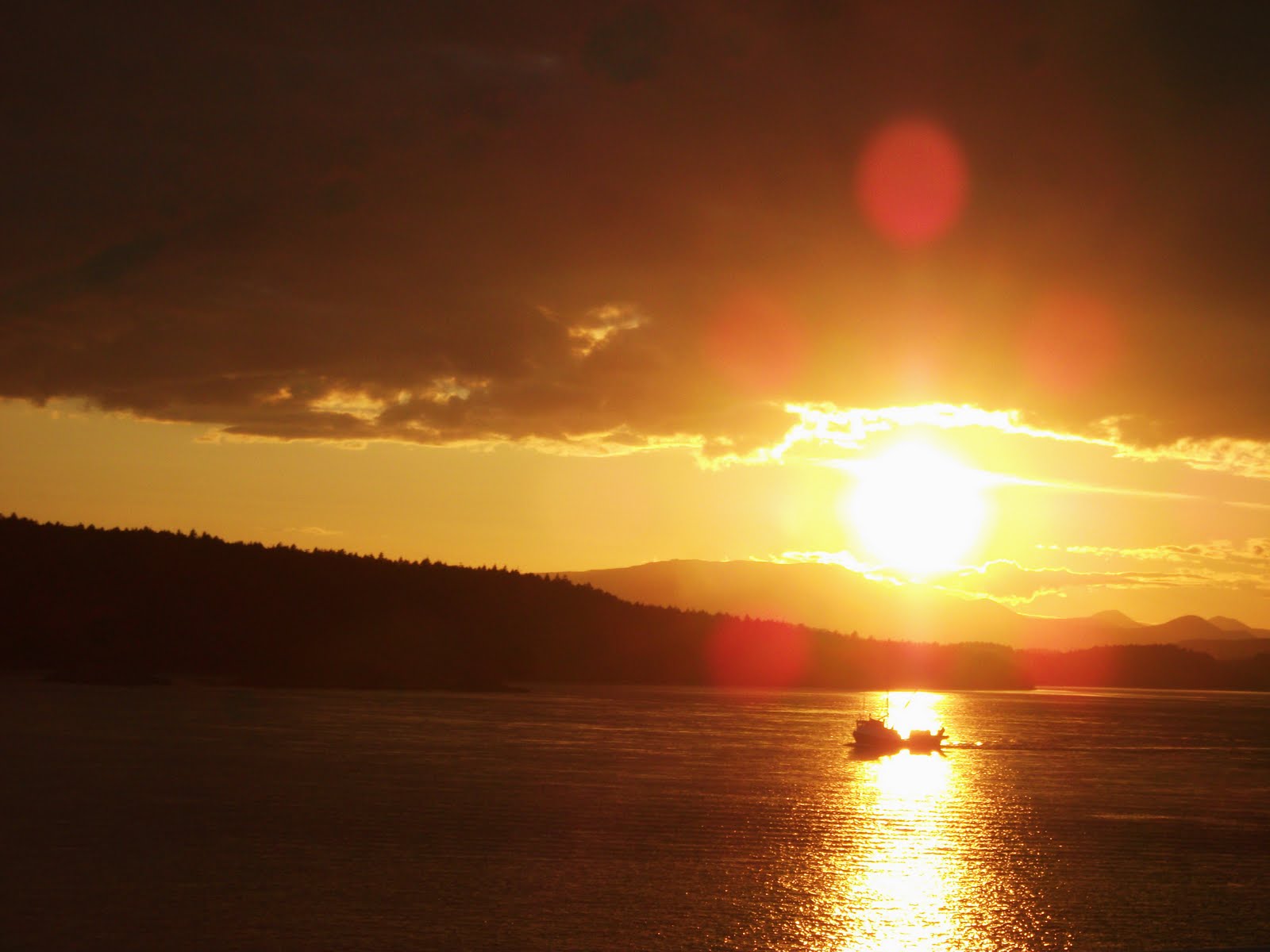 Bluebells Behind the Garage: Spherical Living - 5 Fake Suns, 1 Real Sun