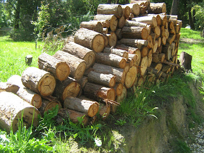 Inspiration is here: Stacks of stuff