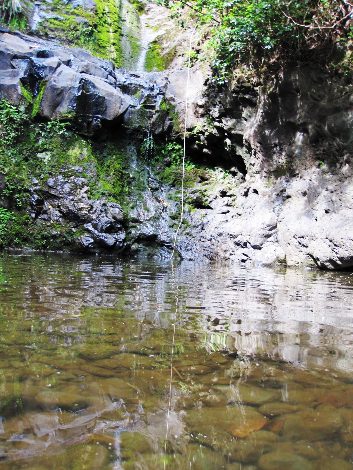 Beyond the Sandbox: Waimano Pools