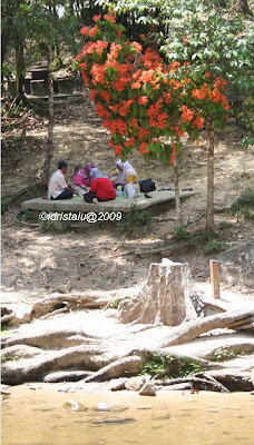 IdrisTalu: Ulu Kenas - Nature