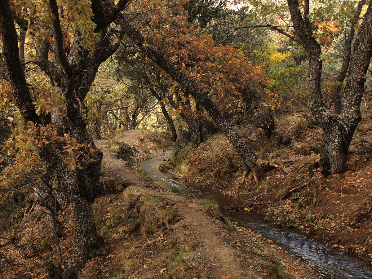 Vinoteca andarina: Salida DOMINGO 7 de Noviembre: Alpujarras ...