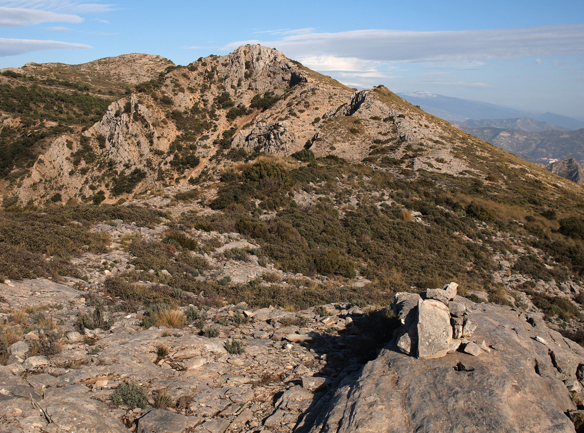 Vinoteca andarina: Salida 8 de Enero: El Cielo por Lomas Llanas