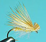 Fly Fishing In Yellowstone National Park: Super Secrets