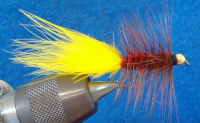 Fly Fishing In Yellowstone National Park: Fishing Essentials