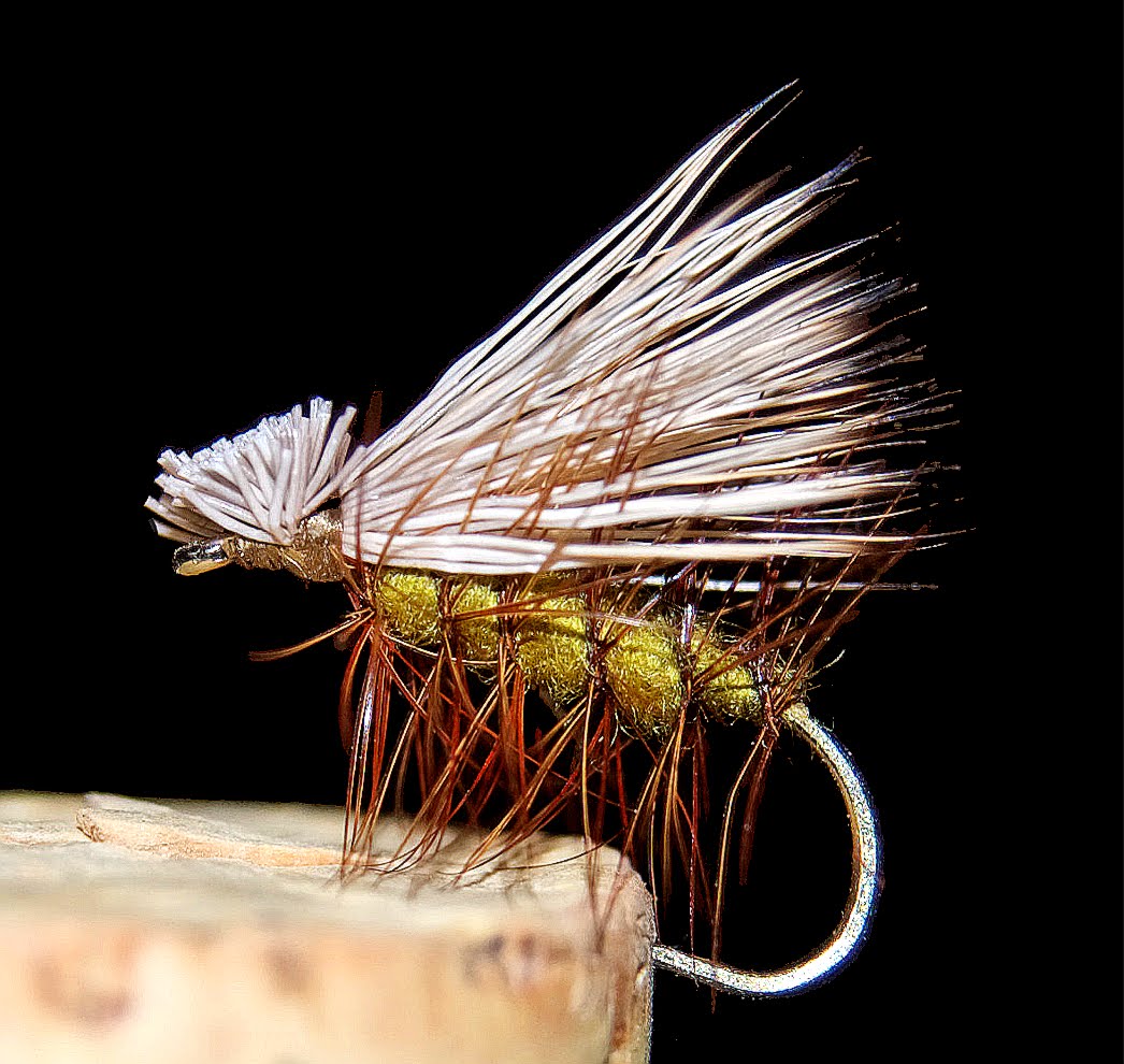 Fly Fishing In Yellowstone National Park: Gallatin Frenzy