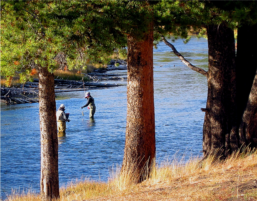 Fly Fishing In Yellowstone National Park: Family Time