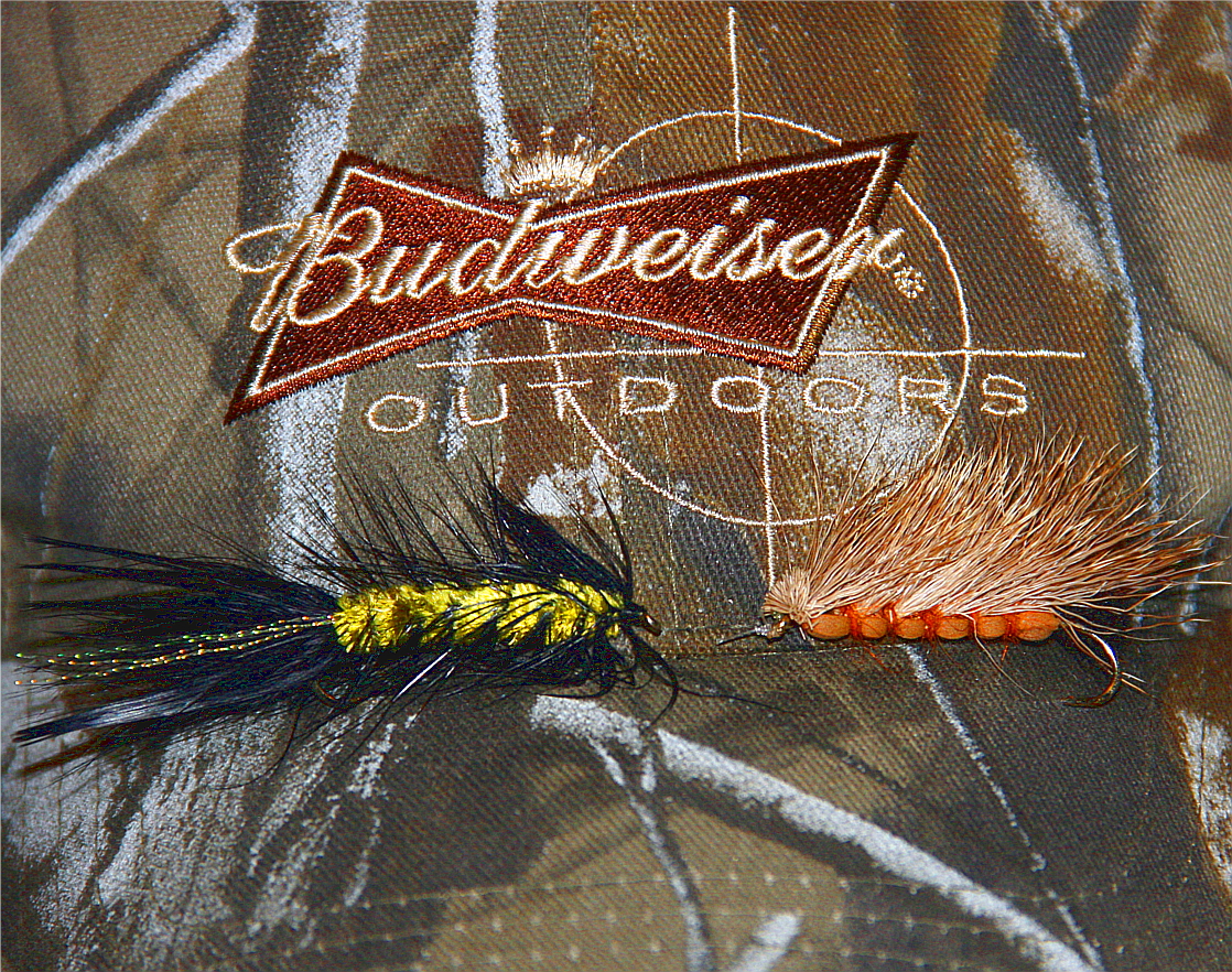 Fly Fishing In Yellowstone National Park: 10/01/2010 - 11/01/2010