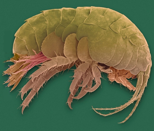 Fly Fishing In Yellowstone National Park: Time For Drilling