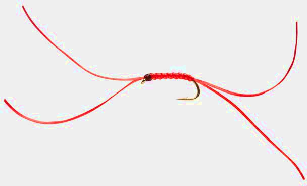 Fly Fishing In Yellowstone National Park: 01/01/2011 - 02/01/2011