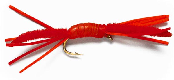 Fly Fishing In Yellowstone National Park: It's Just Nuts