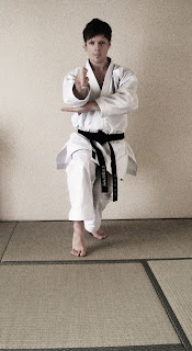 André Bertel's Karate-Do: Hirota 163 Dogi