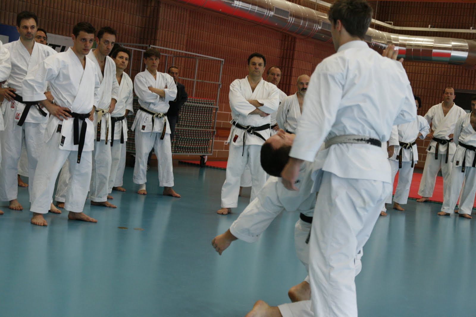 André Bertel's Karate-Do: May 2010