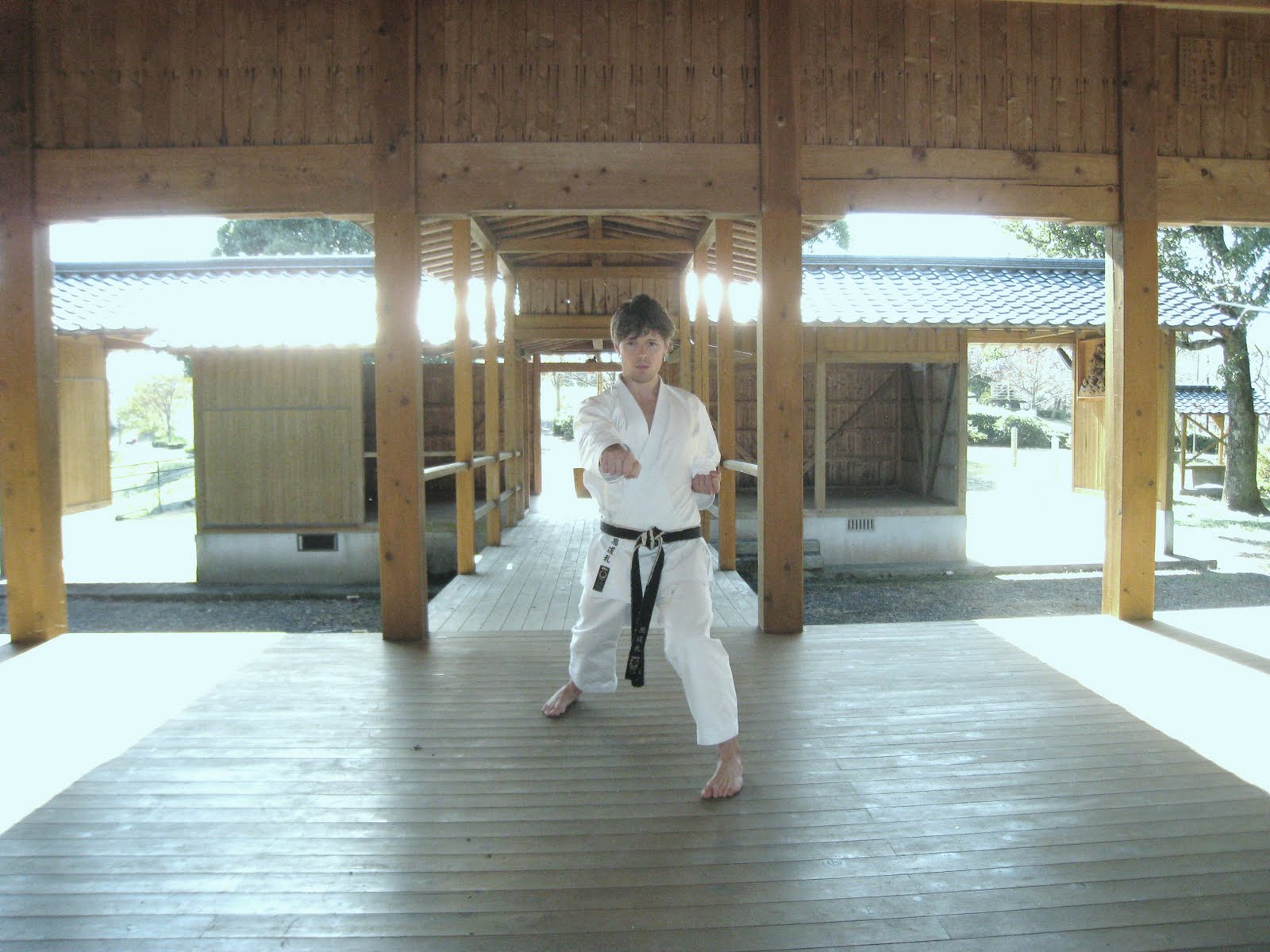 André Bertel's Karate-Do: Gyaku zuki