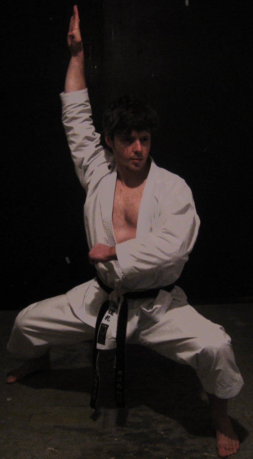 André Bertel's Karate-Do: WHAT IS KARATE?