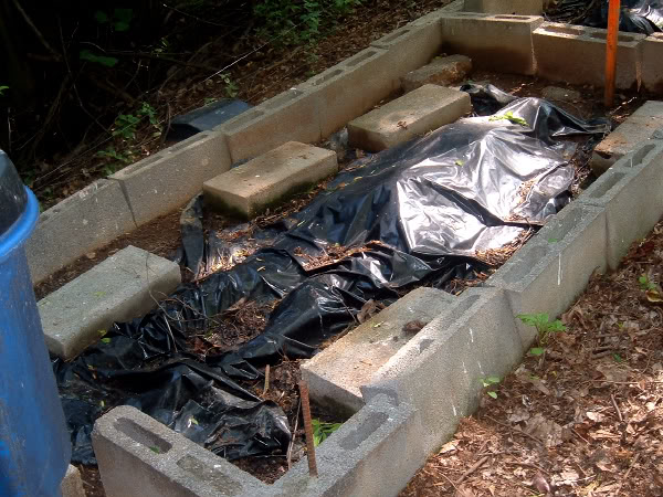 Unique: Body Farm : Ladang Mayat di Knoxville..