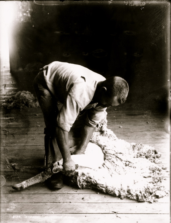 archives & mythologie des lucioles: the tyrell collection