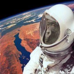 Russia Will Send the Space Monkey