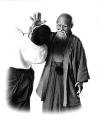 aikido:life | North Valley Aikikai: Ukemi | the art of blending