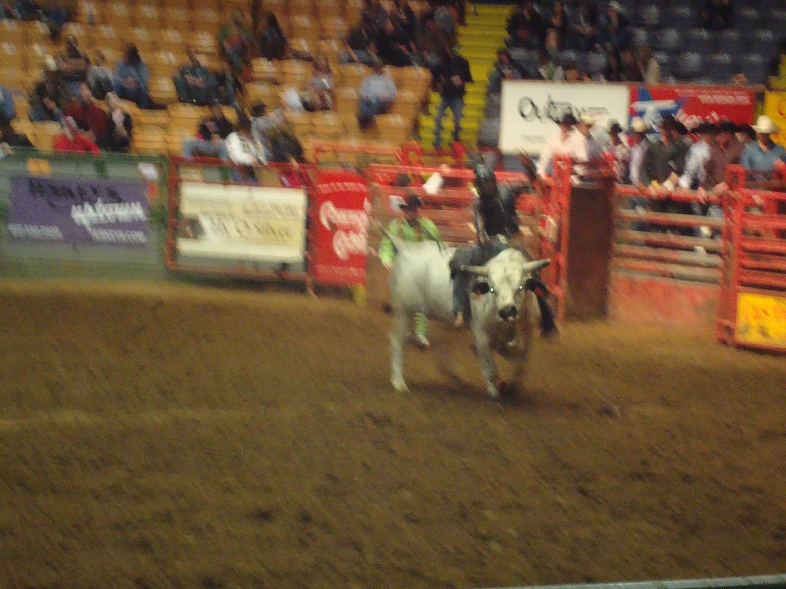 The Braden Family: Fort Worth Stockyard Rodeo Time!! YEE HAW!!