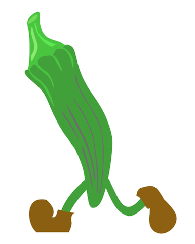 Creating in Carolina: Okra running update