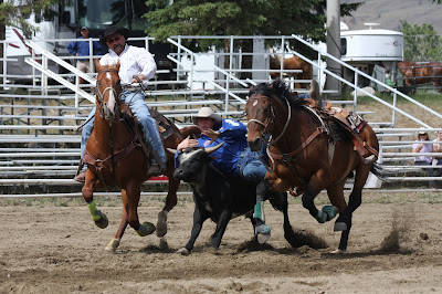 Photography By Cassandra Carr: BC High School Rodeo Finals - Kamloops ...