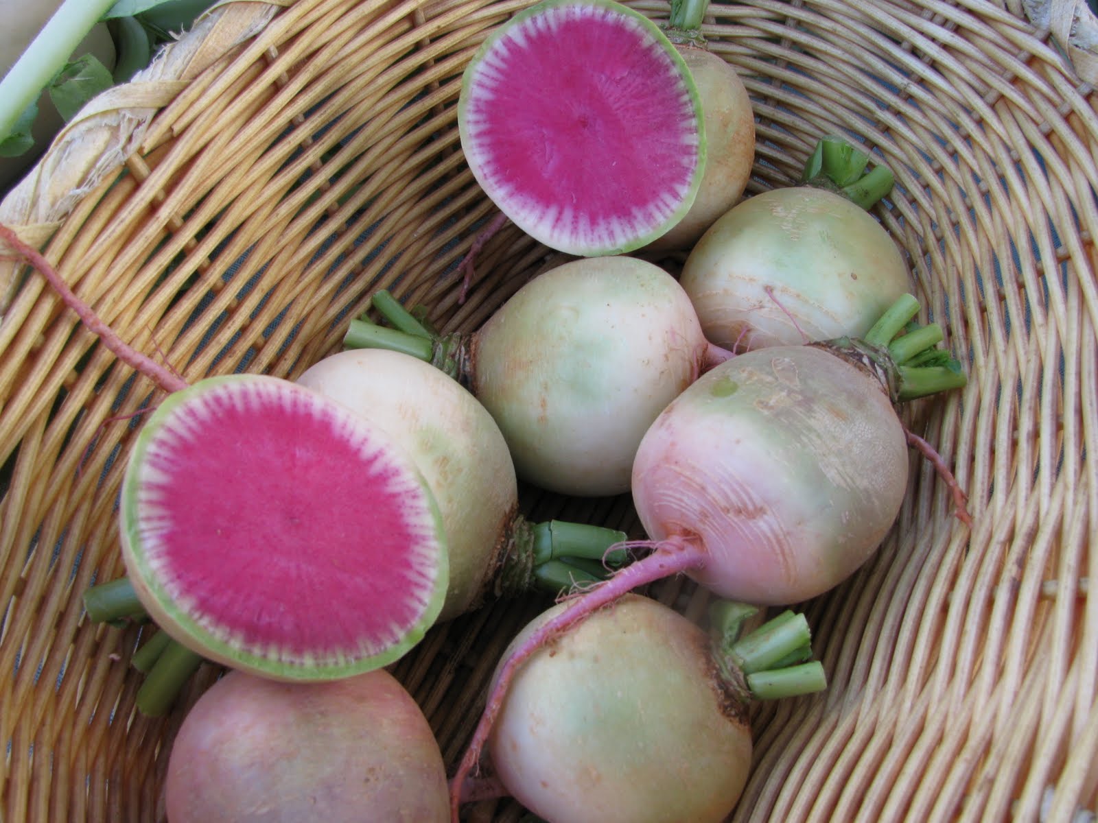 Carolina Foodie: WATERMELON RADISH