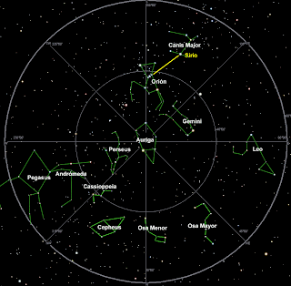 CIENCIAS Y ACTUALIDAD: PROPIEDADES DEL KALANCHOE