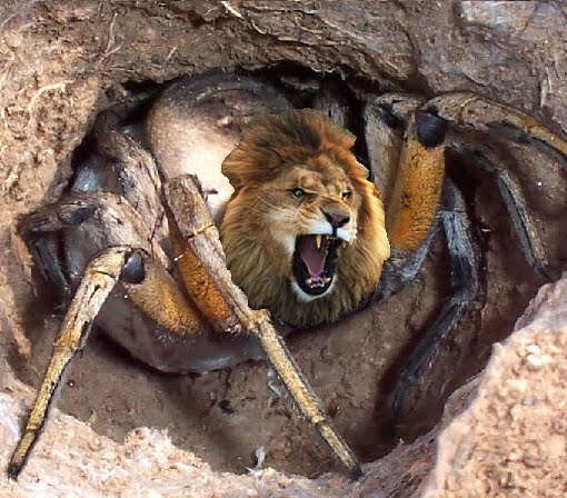 It's a blog!: Dilly-Dally Delays