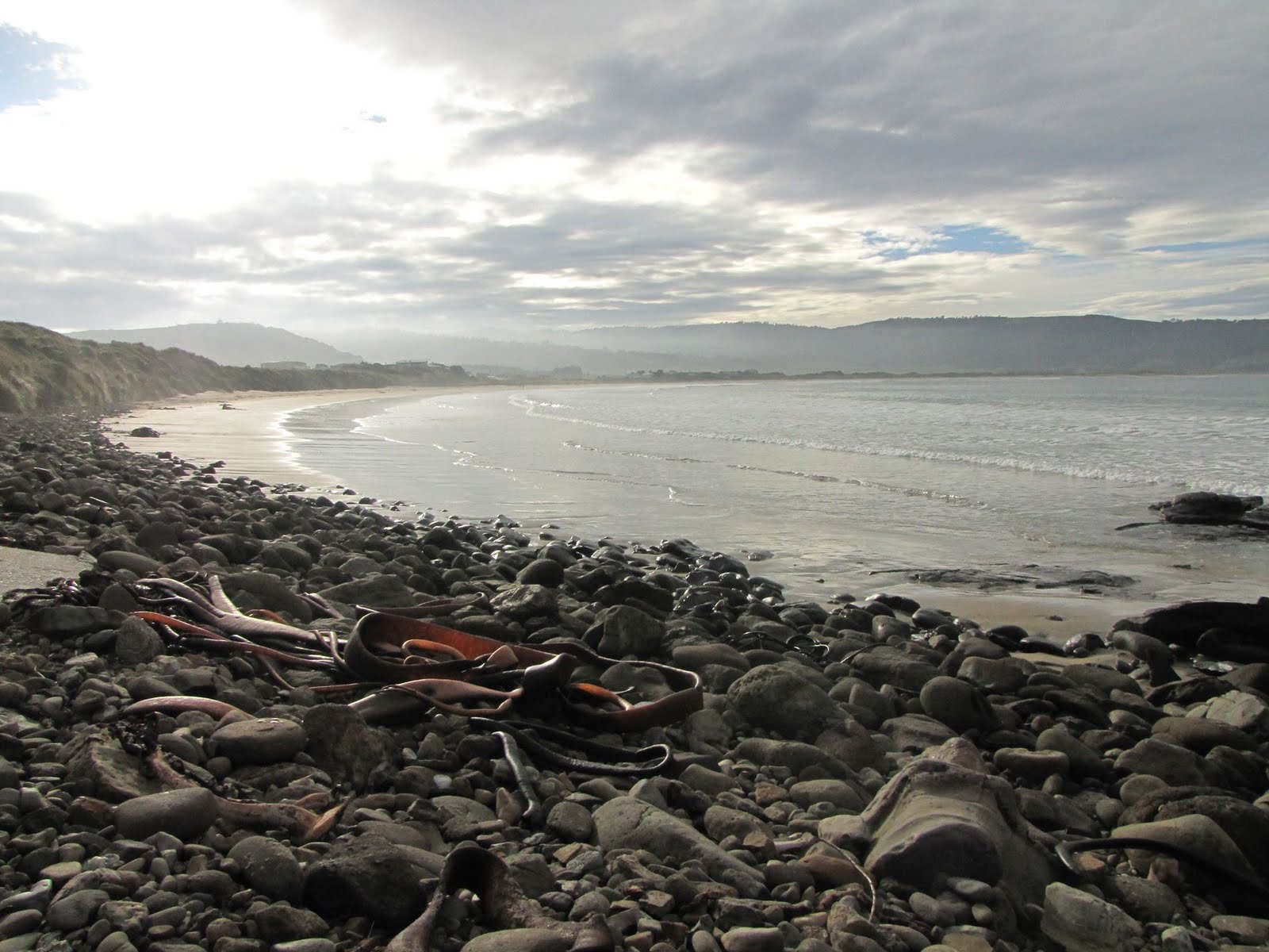 World in Motion: Bicycle Diaries Day 72-73: Curio Bay, no cure, nice bay