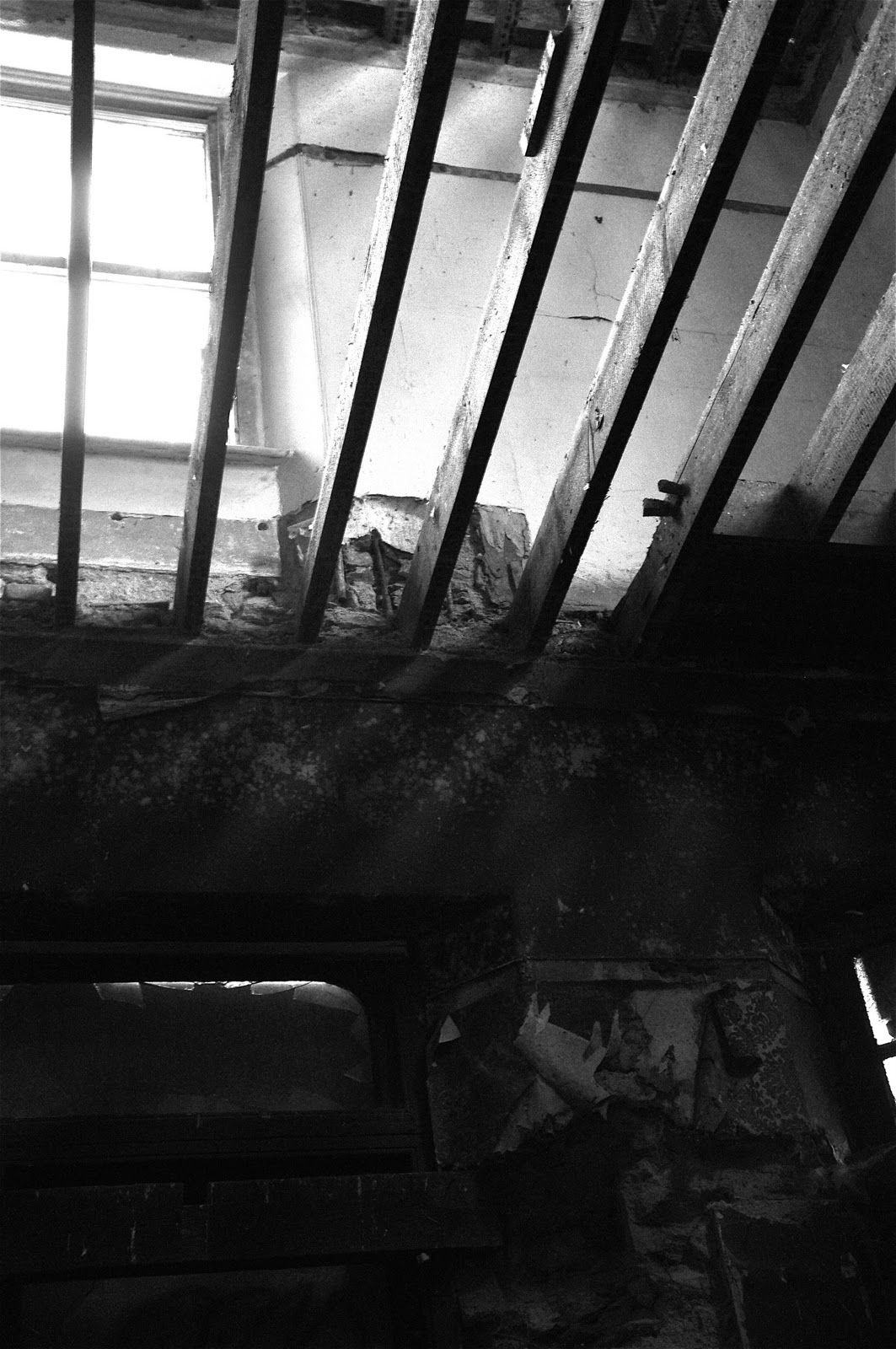 William Grob Journal: October 2010