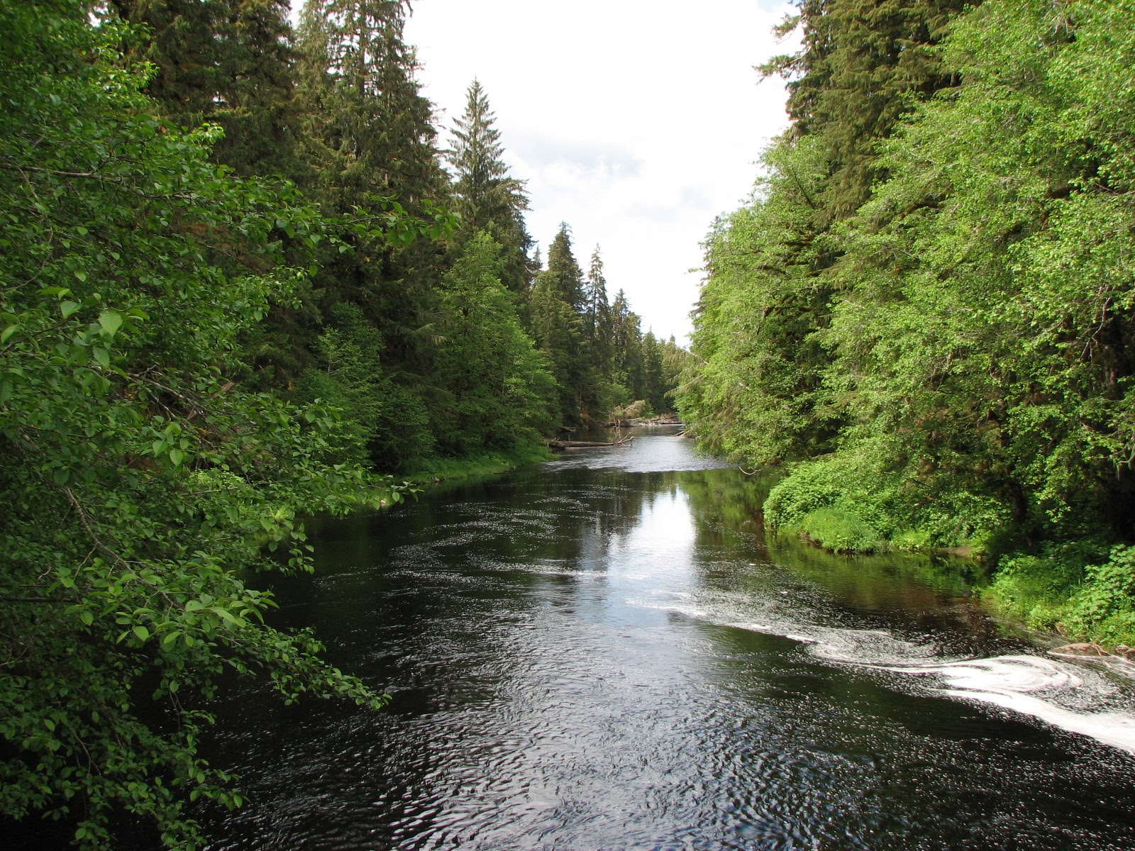 Pam Holnback: Tongass National Forest