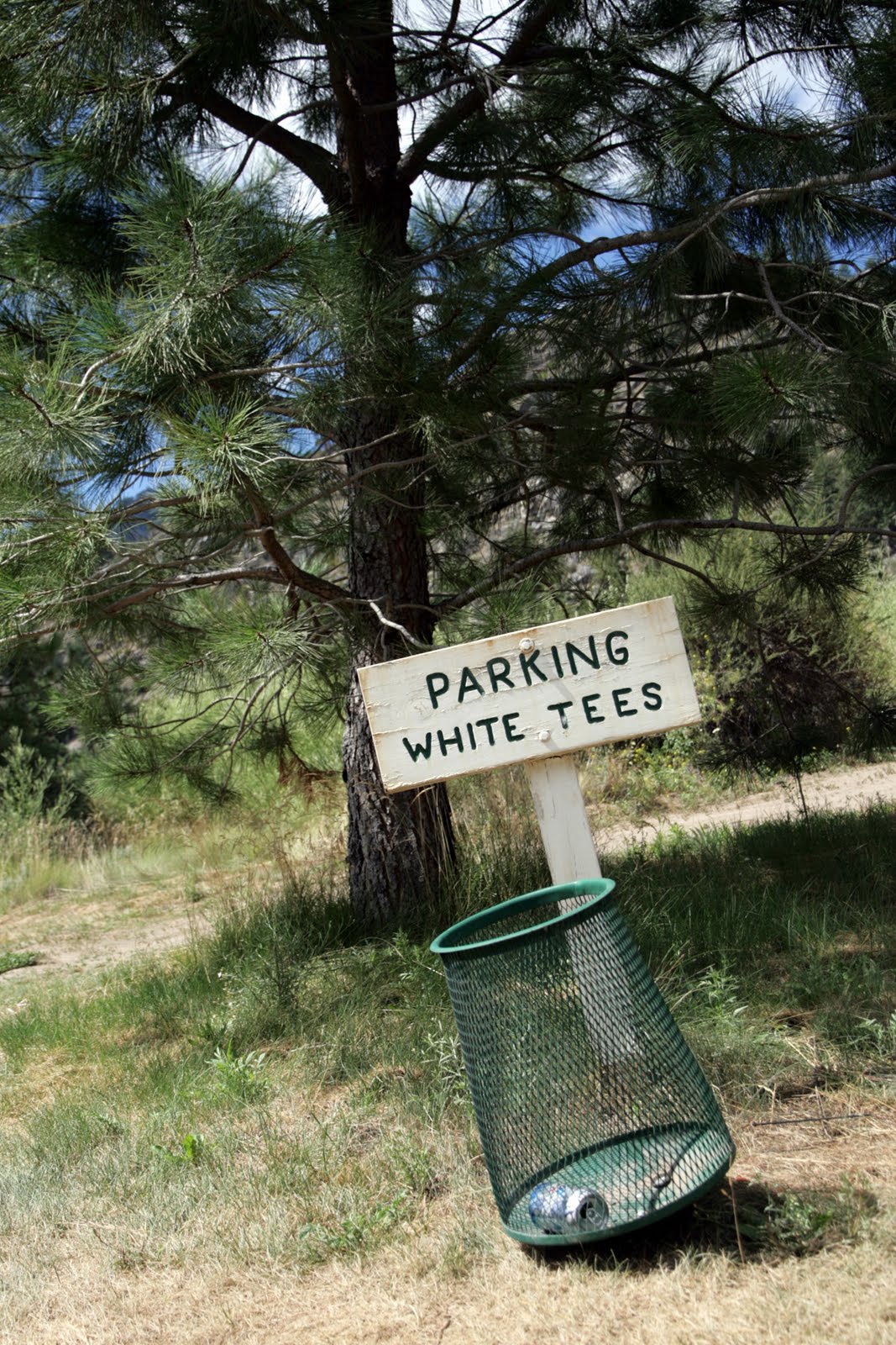 THE FREEMAN FAMILY: Alta Lake Camping Trip