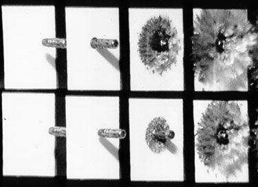Useful Shift: High Speed Photography: Bullets