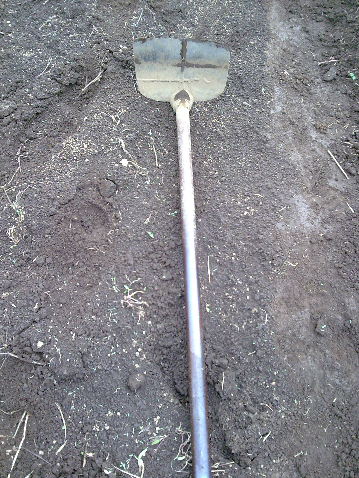 la agricultura en zarcero